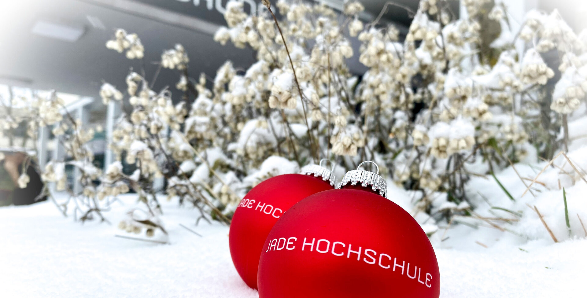 Besinnliche Feiertage und einen guten Rutsch ins Jahr 2024