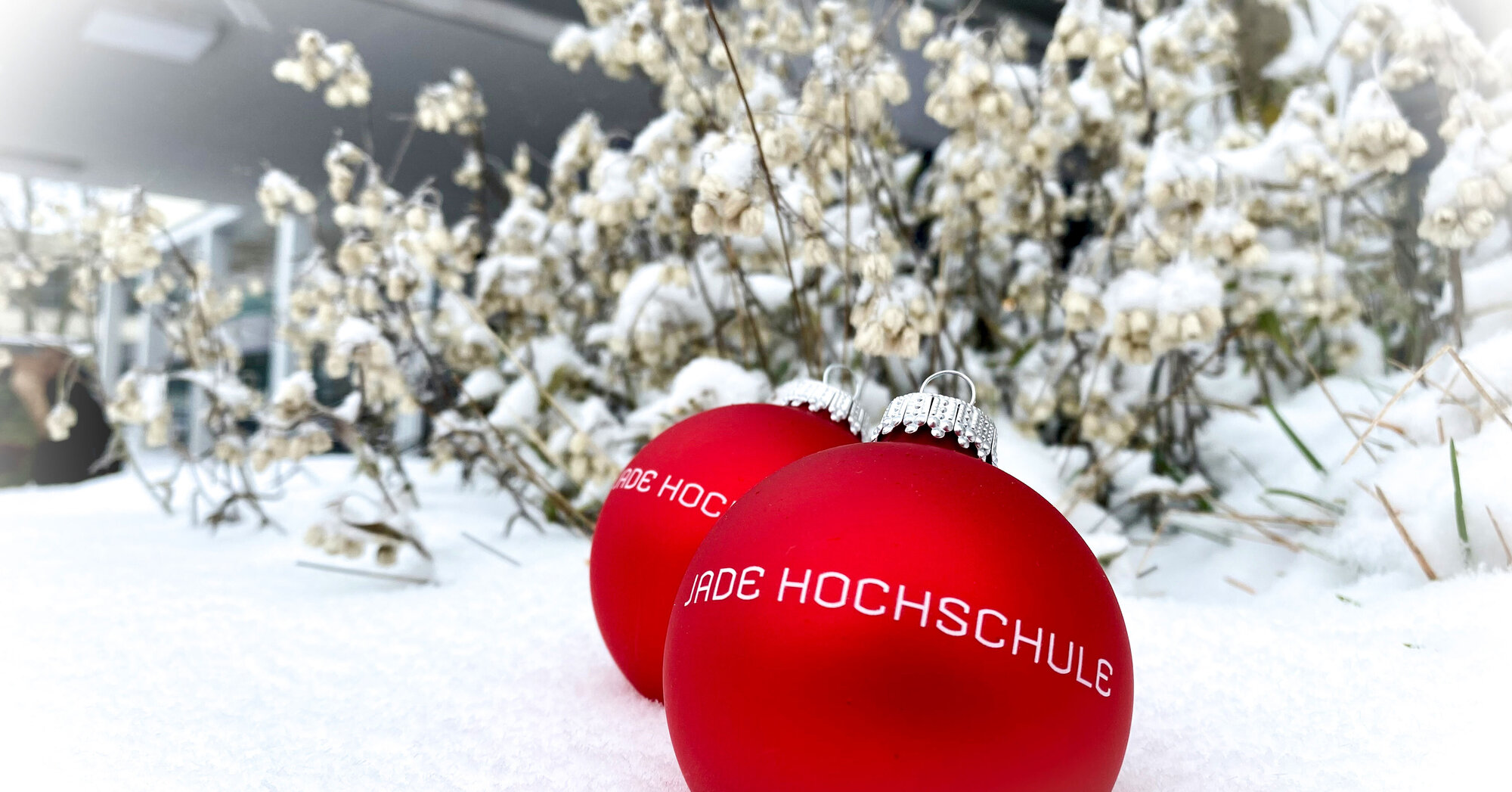 Besinnliche Feiertage und einen guten Rutsch ins Jahr 2024